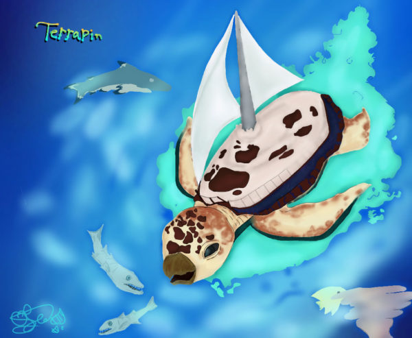 Terrapin Drawings By Family Artists - Terrapin Trails