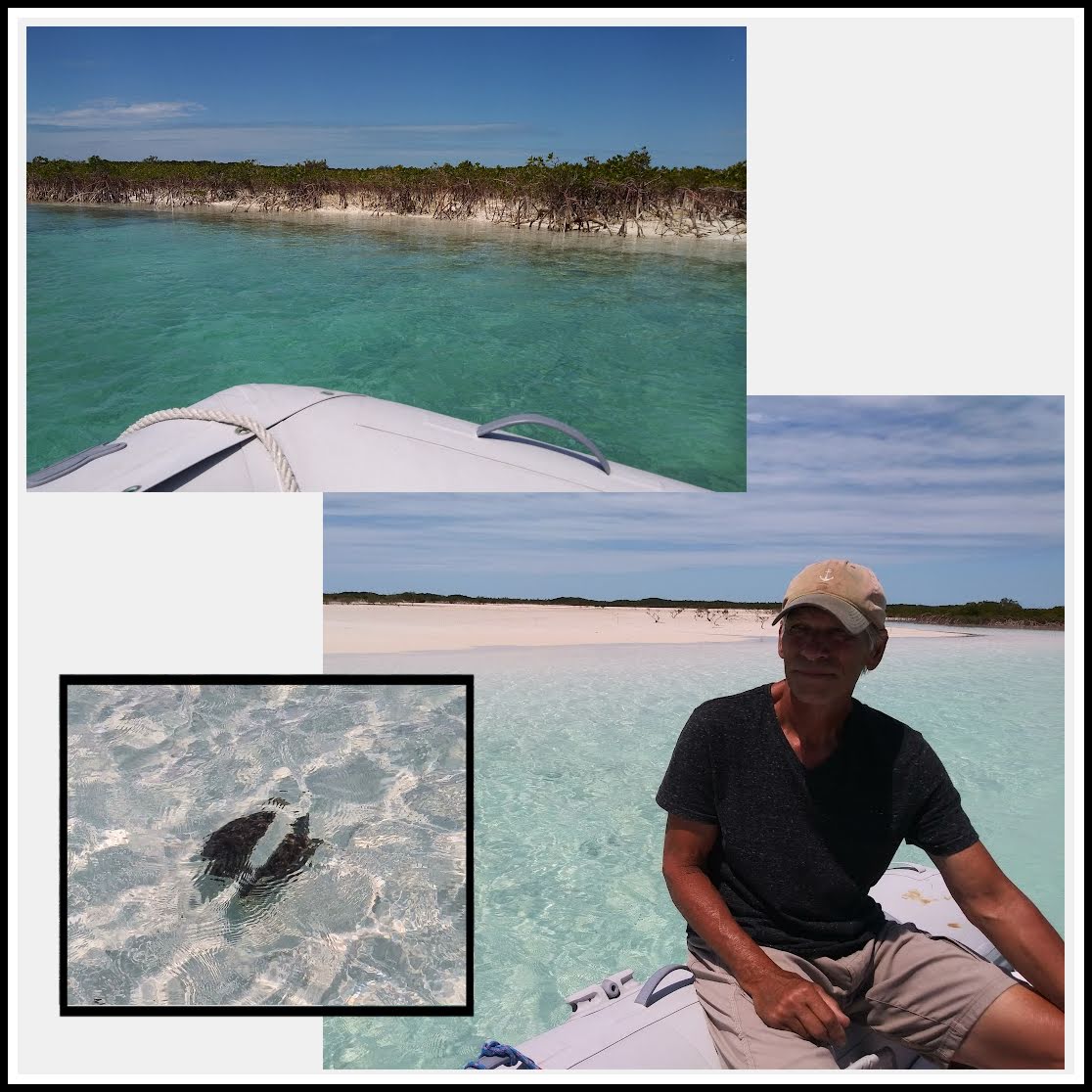 Sailing The Exumas: Shroud Cay - Terrapin Trails