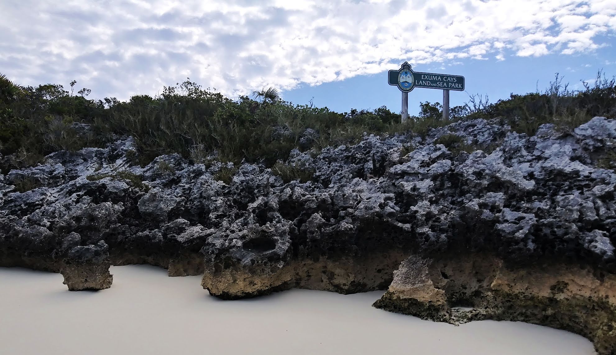 Sailing The Exumas: Shroud Cay - Terrapin Trails
